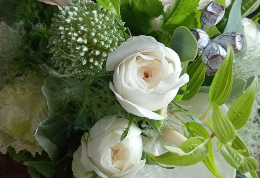 青森県青森市の花屋 PLEDGE FLOWER (プレッジフラワー) – 青森県青森市の花屋です。生花、アレンジメント、花束、観葉植物、ドライ ...